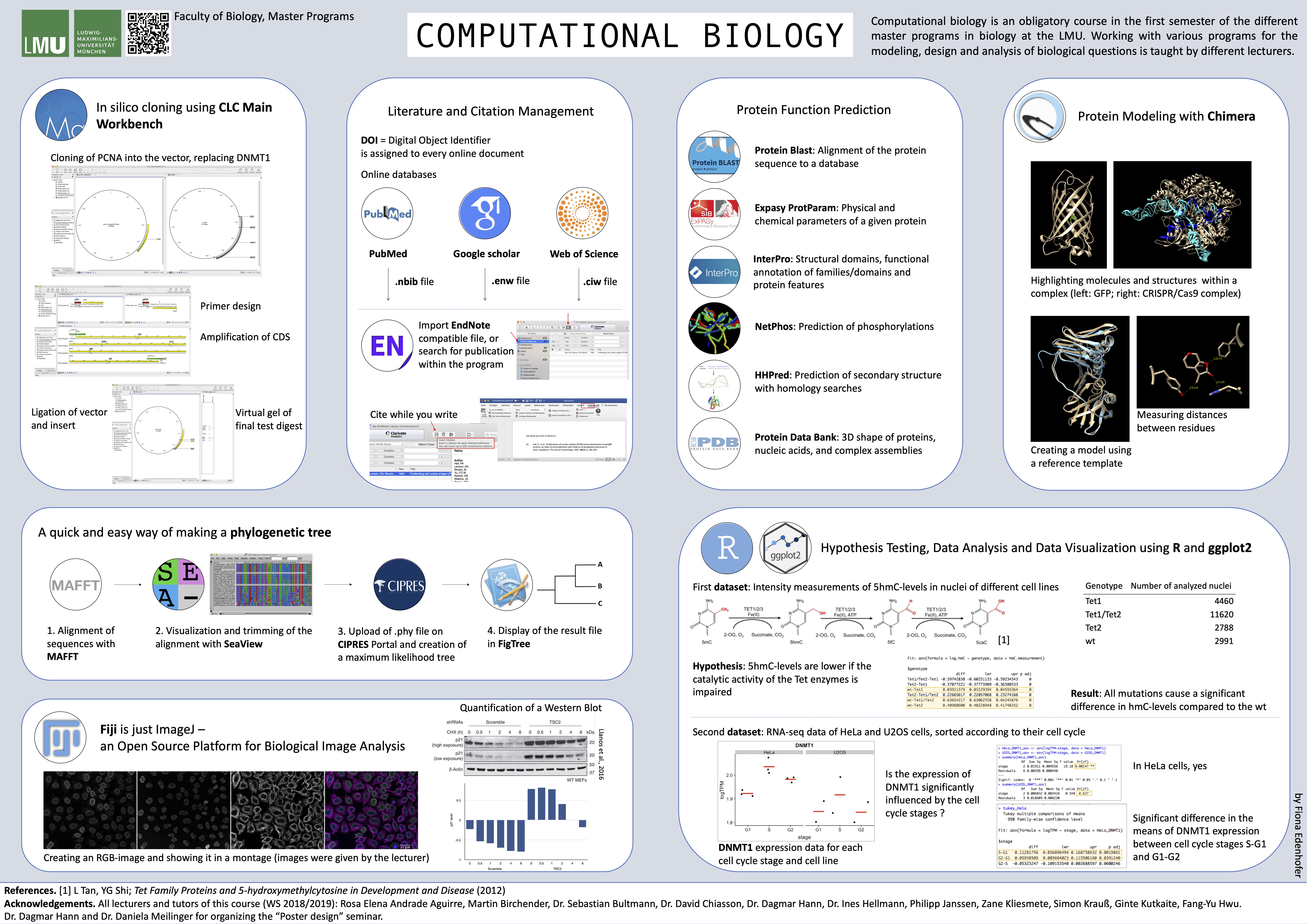 moodle.lmu.de: Alle Kurse